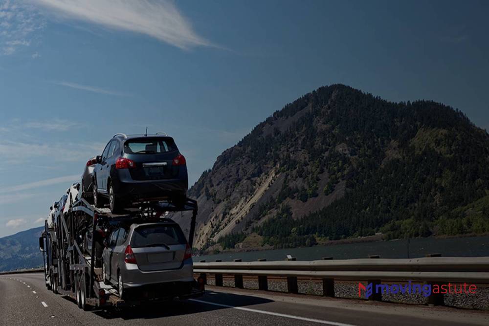 Sherpa Auto Transport Review - 2024 Pricing and Services